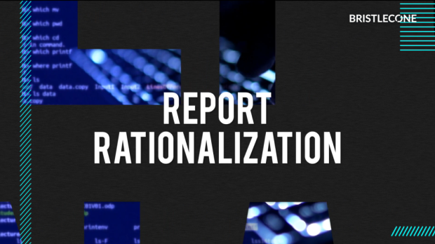 Report Rationalization – How to Reduce IT and BI Costs - Bristlecone